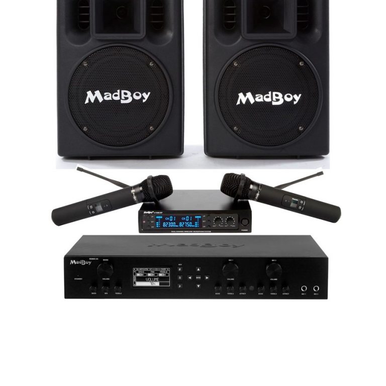 Madboy PRESENT-3 комплект караоке купить в Москве, цена 38 700р. руб ...